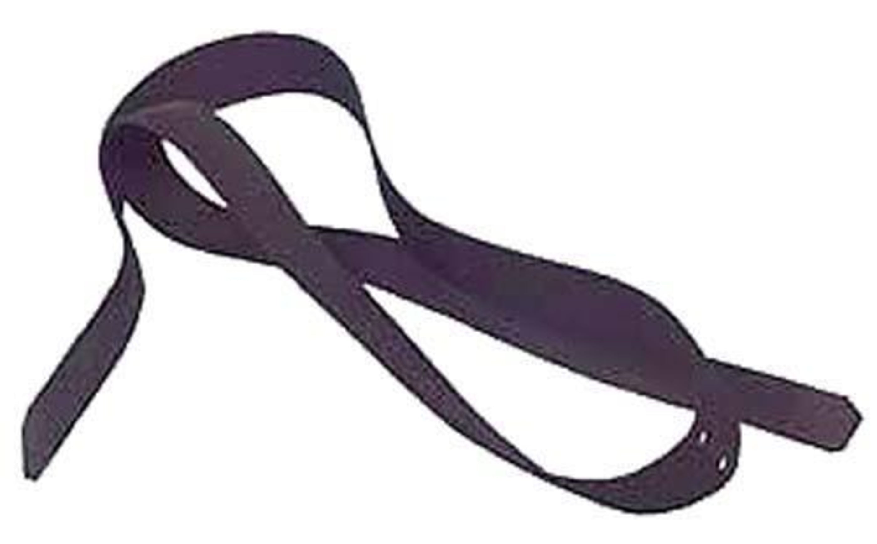 E-Z-GO Medalist / TXT Bag Strap (Years 1994-2013) | Golf Cart Geeks